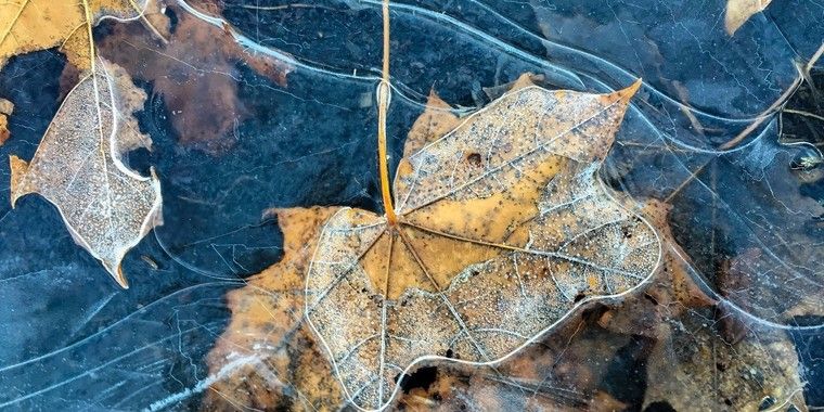 Join the Textures Around Us Photo Contest and win iPhone X and More ...